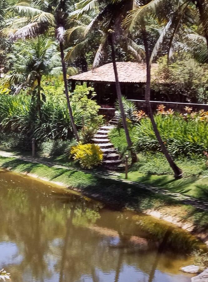 Instituto Terra: planting millions of trees to restore Brazil’s ...